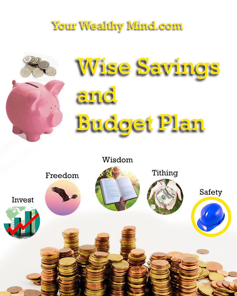 Your Wealthy Mind Savings and Budget Plan