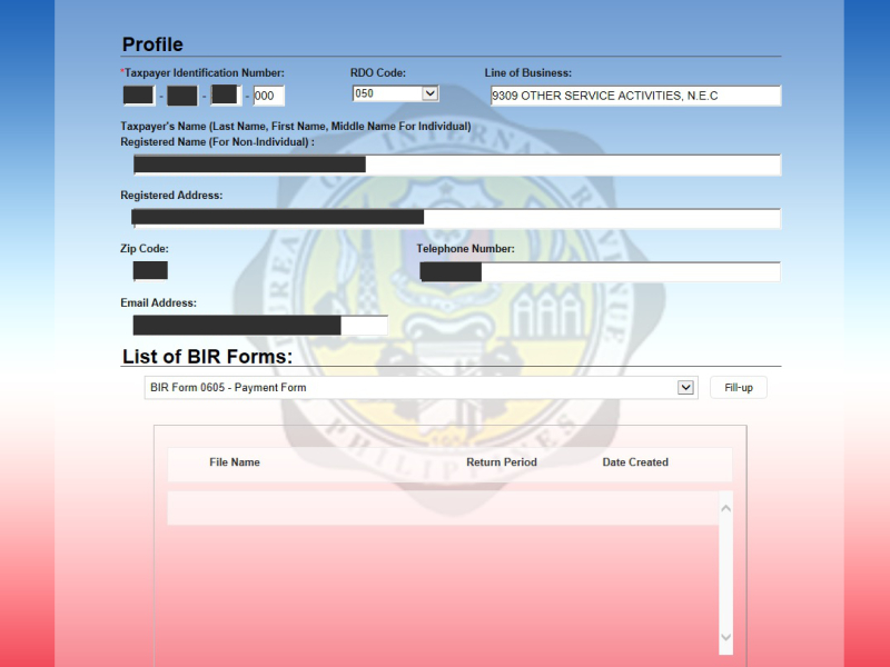 [Self-Employed] How to File and Pay for the BIR Annual Fee Online